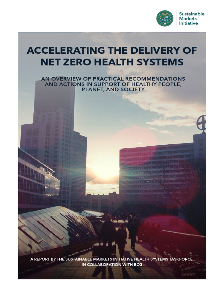Net Zero Strategies for Health Systems | PDF | Climate Change | Natural ...