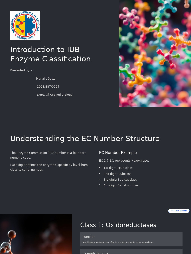 IUB Enzyme Classification Overview | PDF | Enzyme | Metabolism