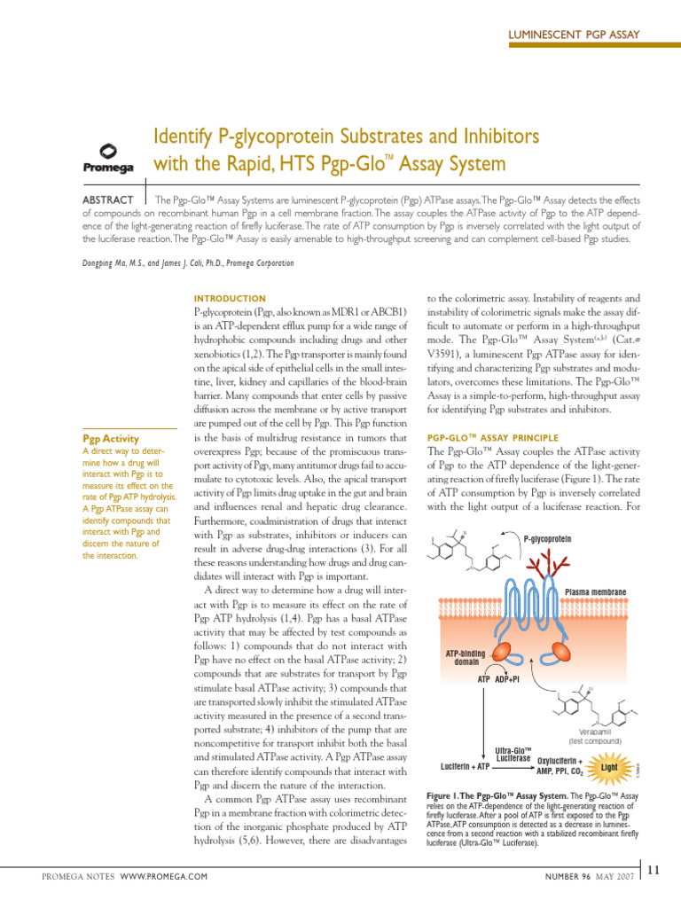 Identify P-Glycoprotein Substrates and Inhibitors With The Rapid Hts ...