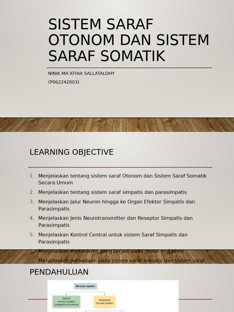 Sistem Saraf Otonom | PDF