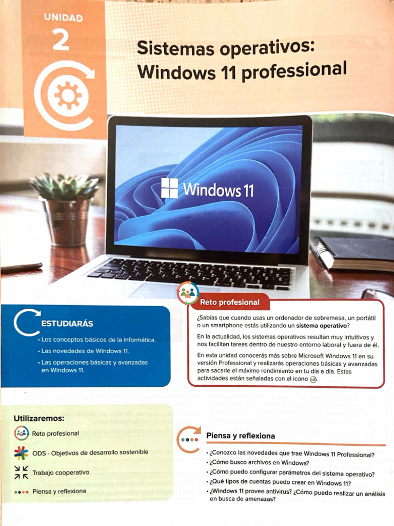 Tema 2 Informatica | PDF