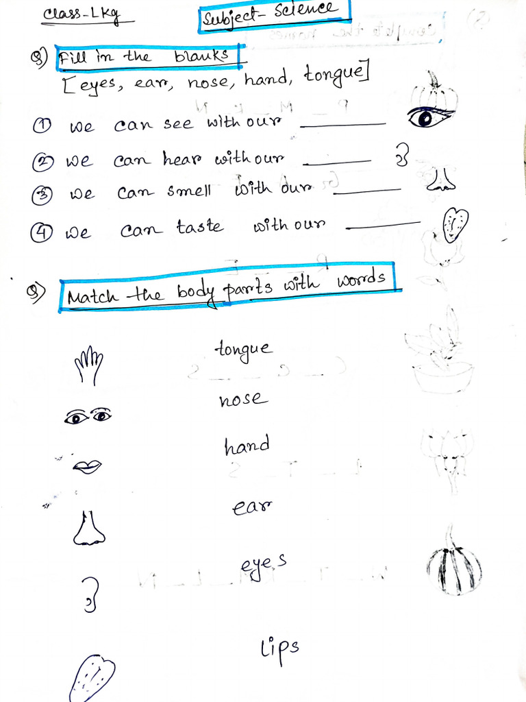 LKG Science Model Paper 2025 | PDF