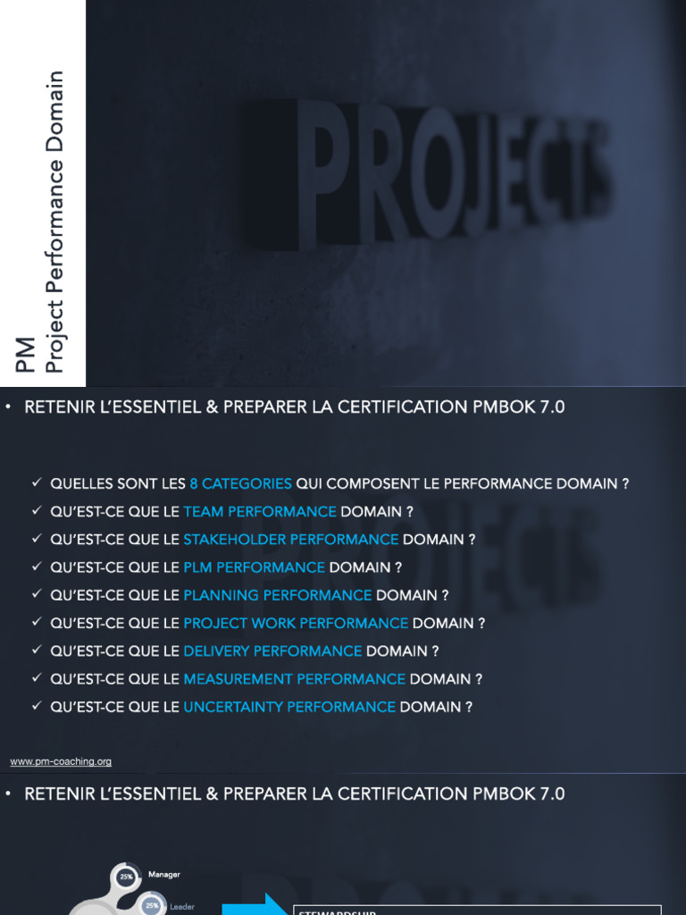 PM#16+Essentiel Performance Domain V1 | PDF | Leadership ...
