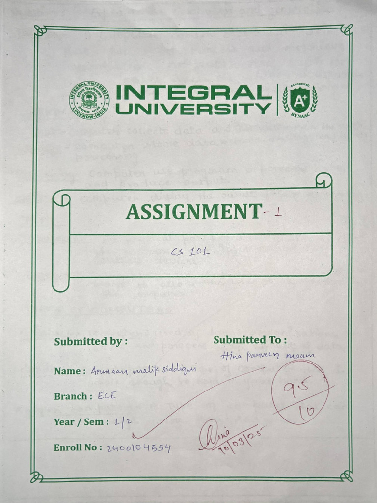 Cs 101 Assignment 1 | PDF