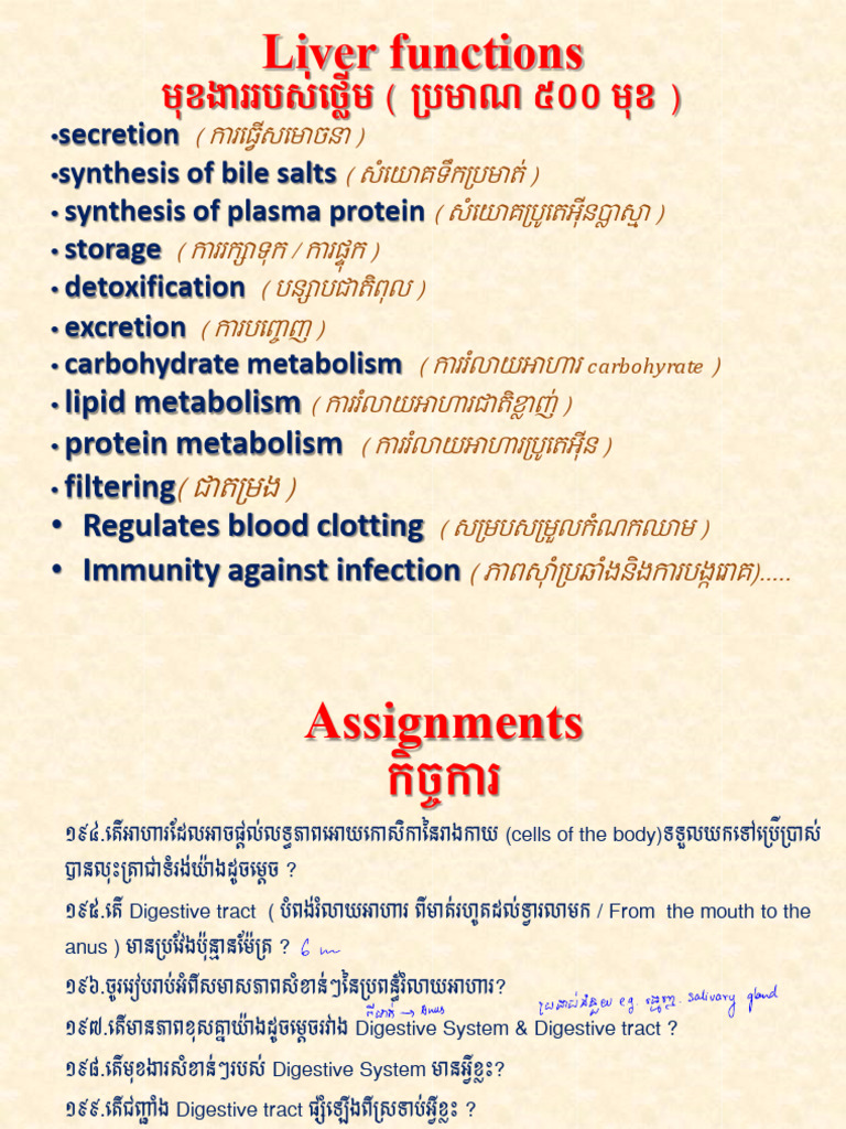 6 Digestive System | PDF