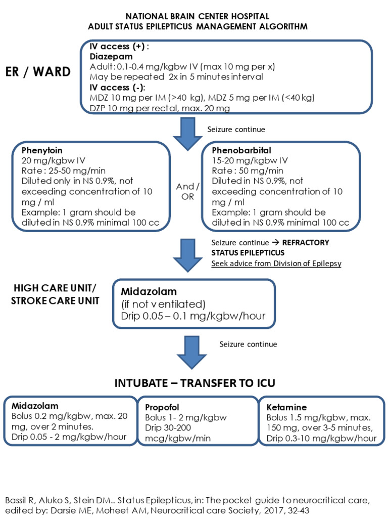 Algoritme Status Epileptikus Dewasa | PDF | Epilepsy | Disorders Causing Seizures