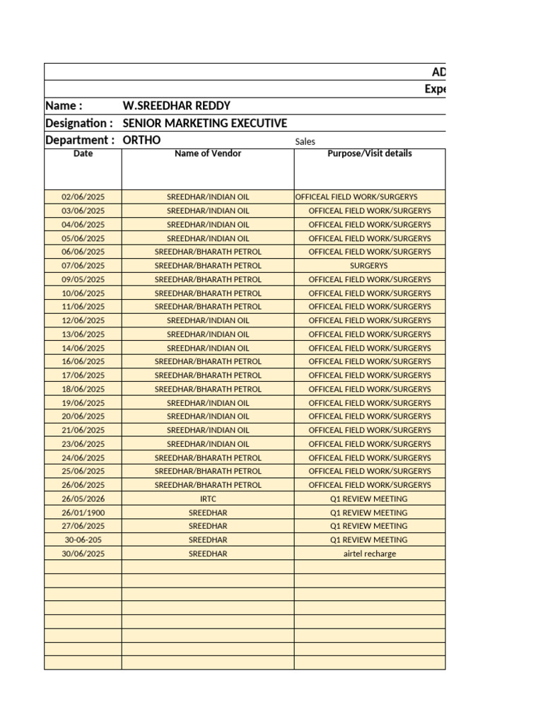 Expenses Sheet Format For JUNE | PDF