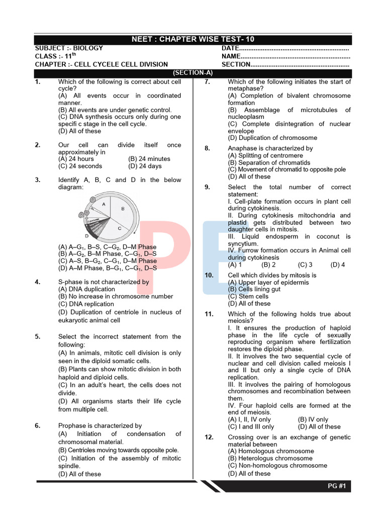 NEET Biology Chapter Test: Cell Cycle | PDF | Mitosis | Meiosis