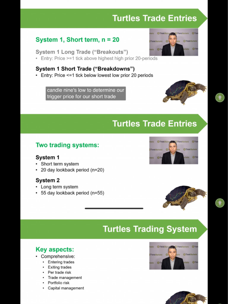 Turtle Trader 3 | PDF