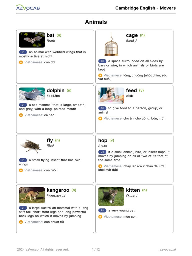 Animals (Cambridge English - Movers) | PDF | Marine Mammals | Cats