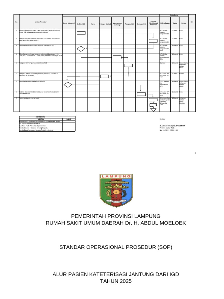 Sop Alur Dari Igd | PDF