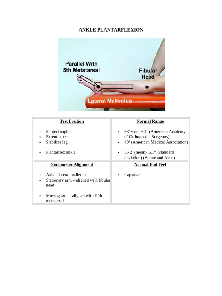 Ankle Plantarflexion | PDF