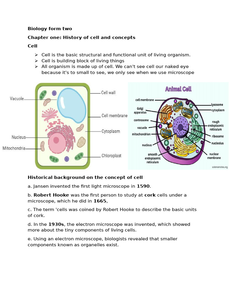 Form Two Cell Biology | PDF | Endoplasmic Reticulum | Cell (Biology)