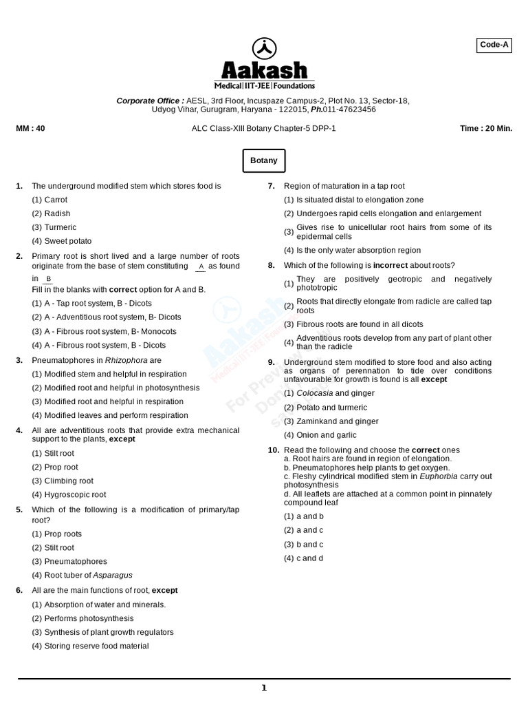 ALC Class-XIII Botany Chapter-5 DPP | PDF | Root | Flowers