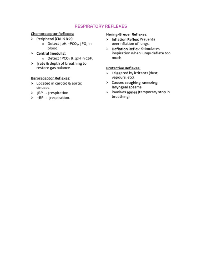 Respiratory Reflexes | PDF