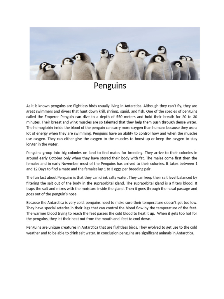Penguins | PDF