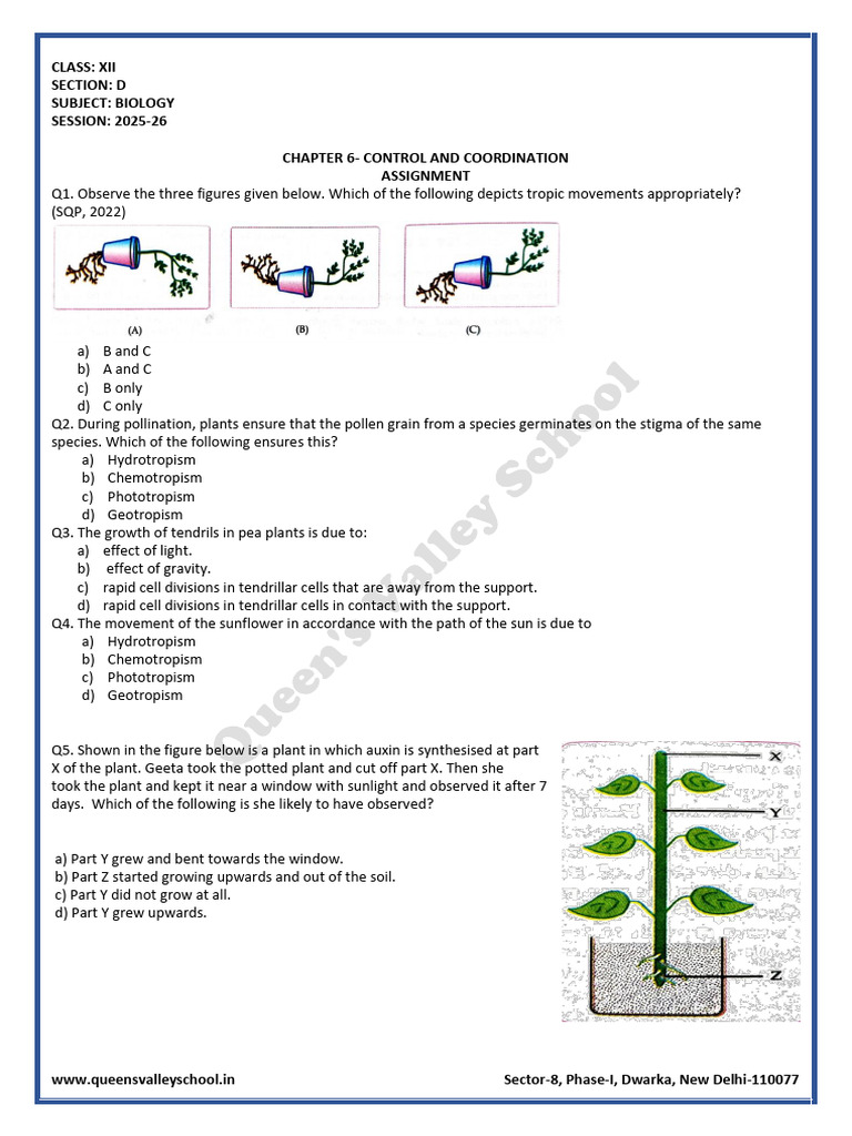 Contol and Coordination Assignment | PDF | Neuron | Hormone
