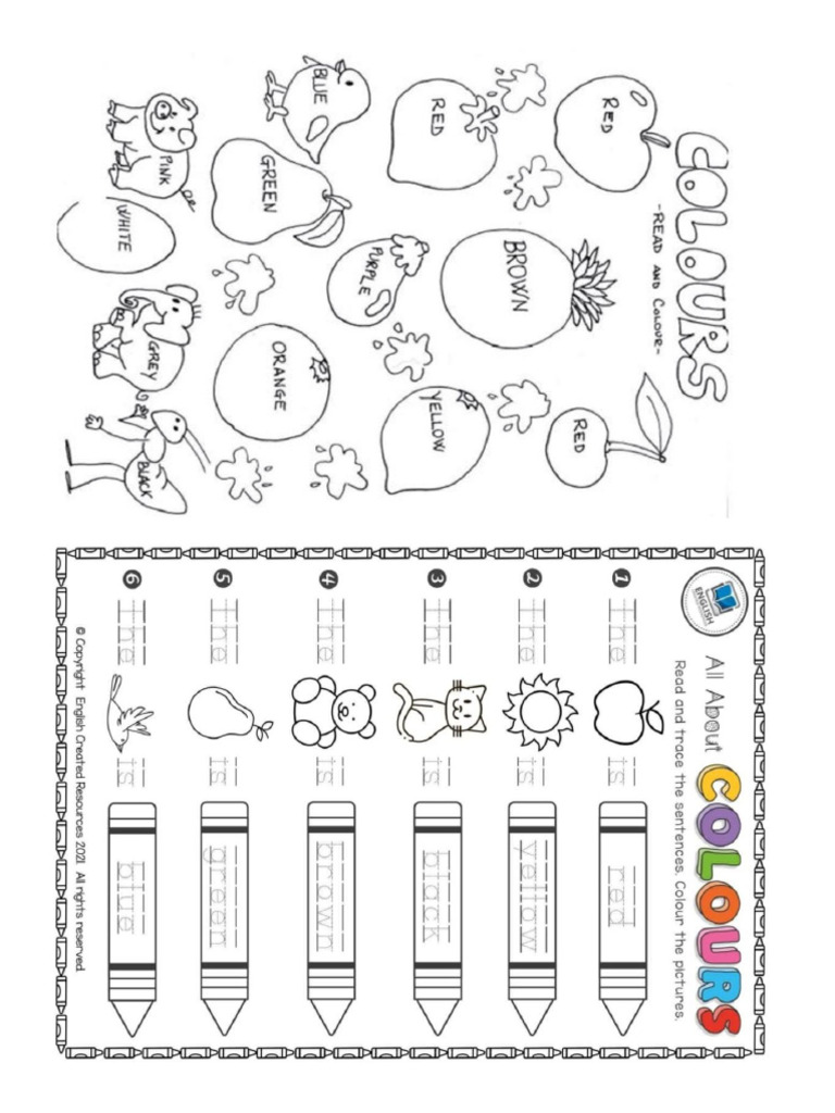 Kinder | PDF