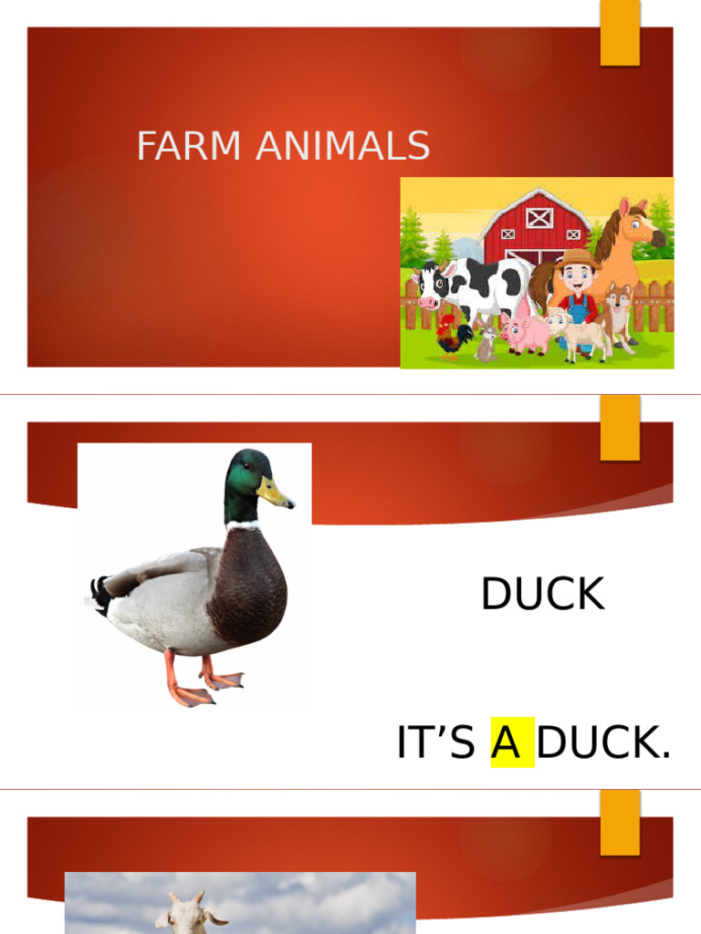 Farm Animals and Songs | PDF