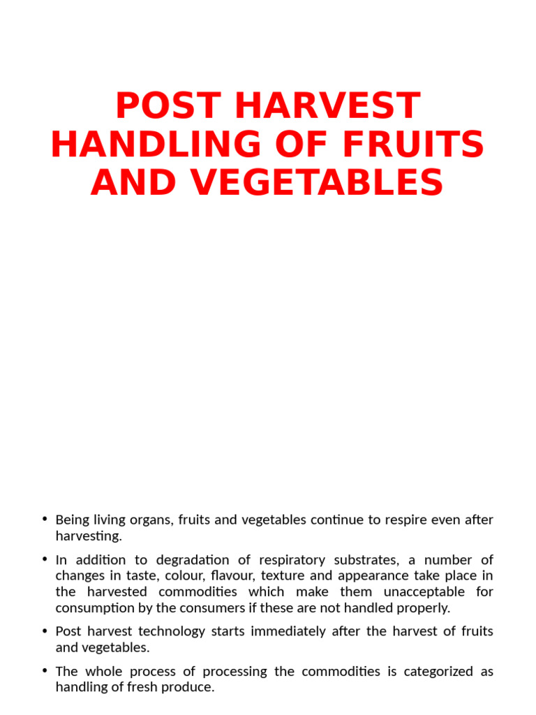 Post Harvest Handling of Fruits and Vegetables | PDF | Vegetables | Onion