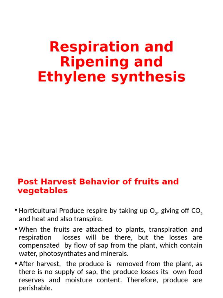 Respiration in Climacteric vs Non-Climacteric Fruits | PDF