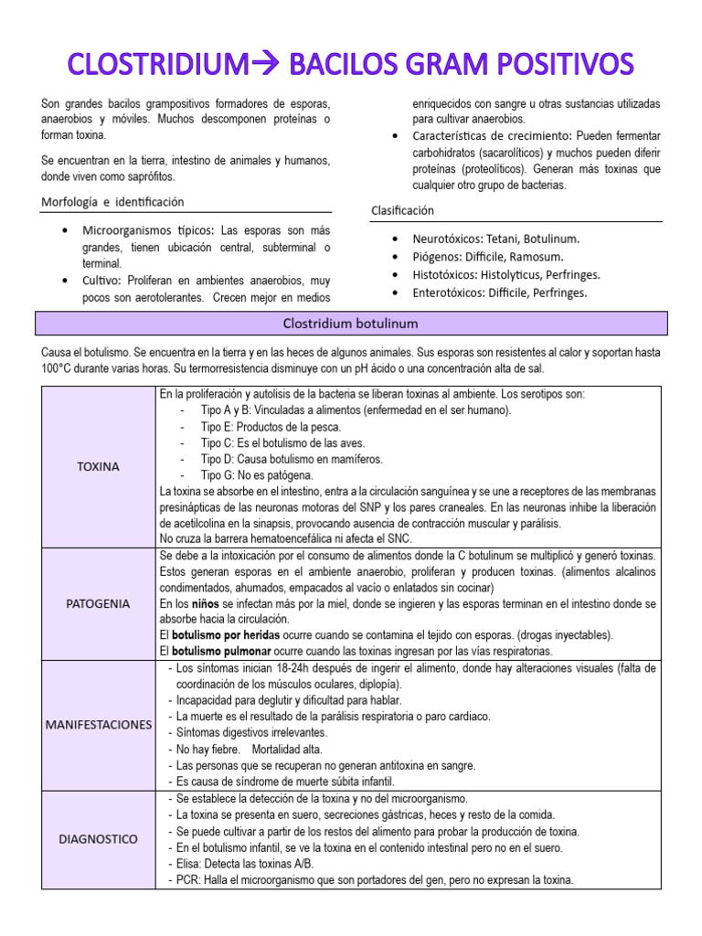 Clostridium | PDF | Diarrea | Especialidades Medicas