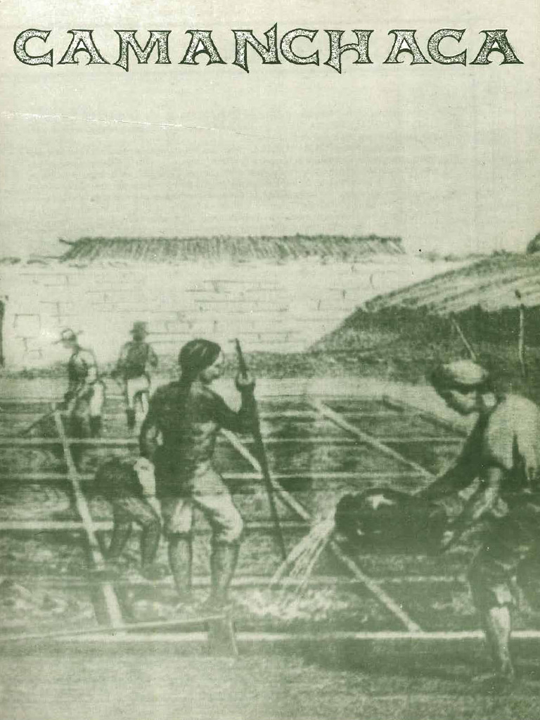 Revista Camanchaca 1989 | PDF