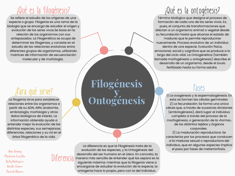 Filogénesis y Ontogénesis | PDF | Evolución | Filogenética