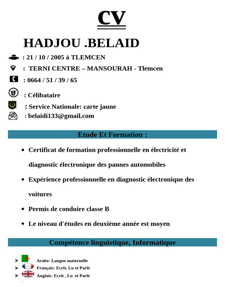 CV de Belaid Hadjou - Électricien Automobile | PDF