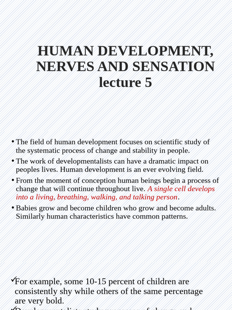 Human Development | PDF | Extraversion And Introversion | Pancreas