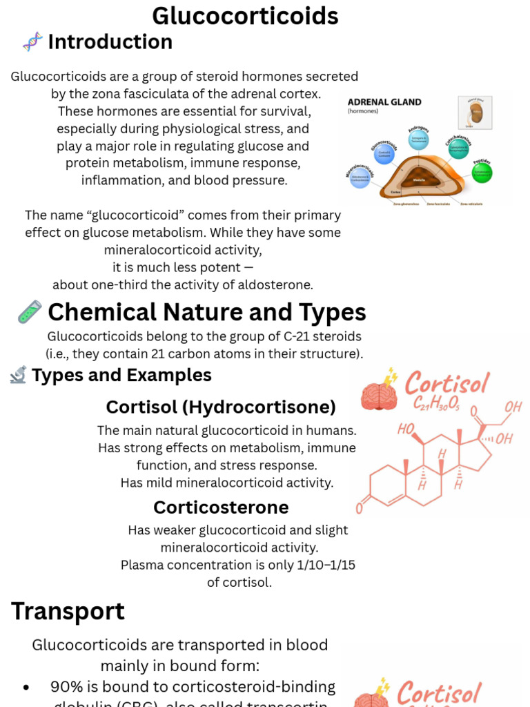 Glucocorticoids ? Introducti PDF | PDF | Glucocorticoid | Cortisol