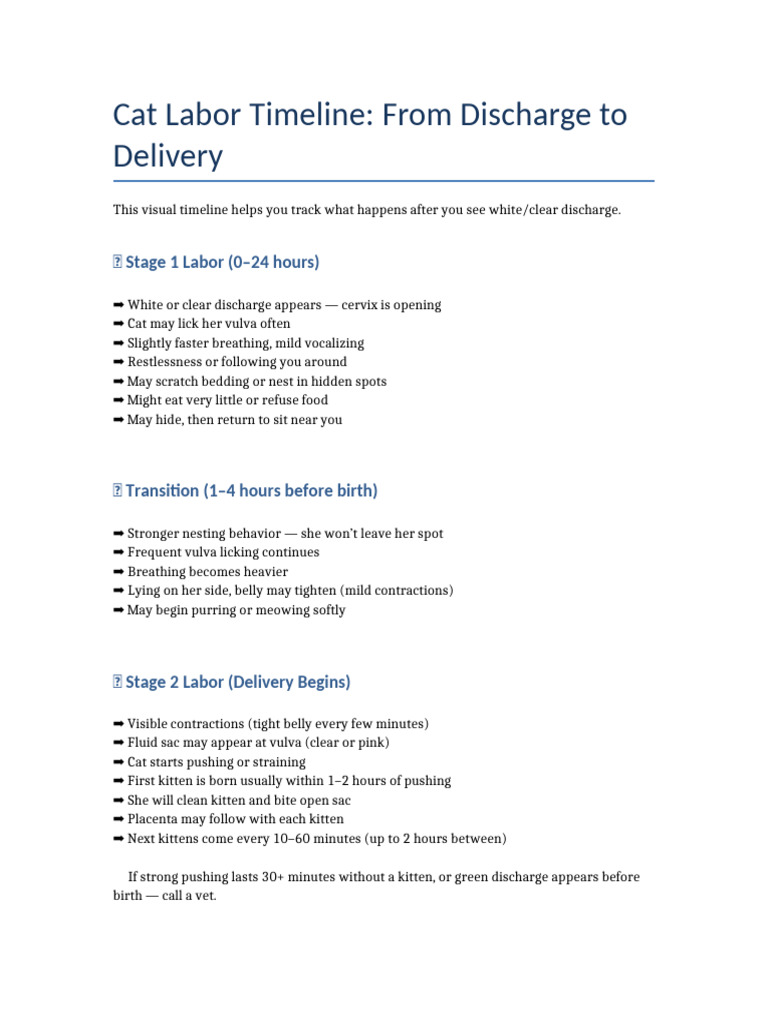 Cat Labor Timeline White Discharge To Birth | PDF