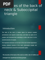 Dysport Dilution and Dosing Guide | PDF | Botulinum Toxin | Foot