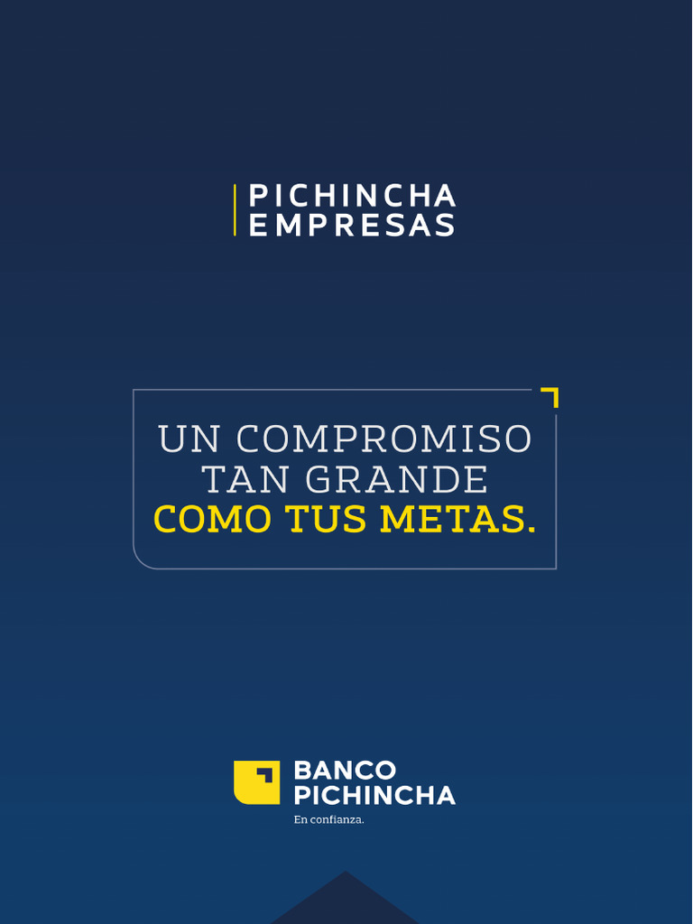 Instructivo Acceso Pichincha Empresas | PDF | Aplicación movil | Contraseña