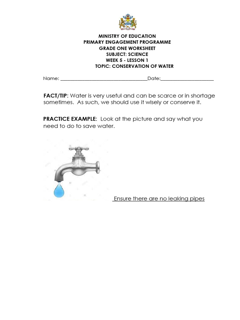 Grade 1 Science Weeks 5-8 Worksheets - Term 2 | PDF | Shape