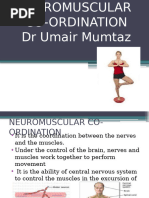 Muscle Tone Assessment Guide | PDF | Musculoskeletal System | Medicine
