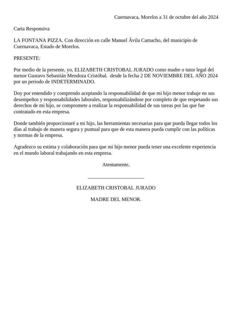 carta responsiva | PDF