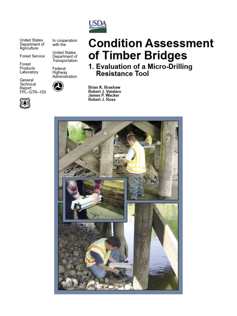 2005 - Brashaw - Timber Bridges - Evaluation of A Micro-Drilling ...