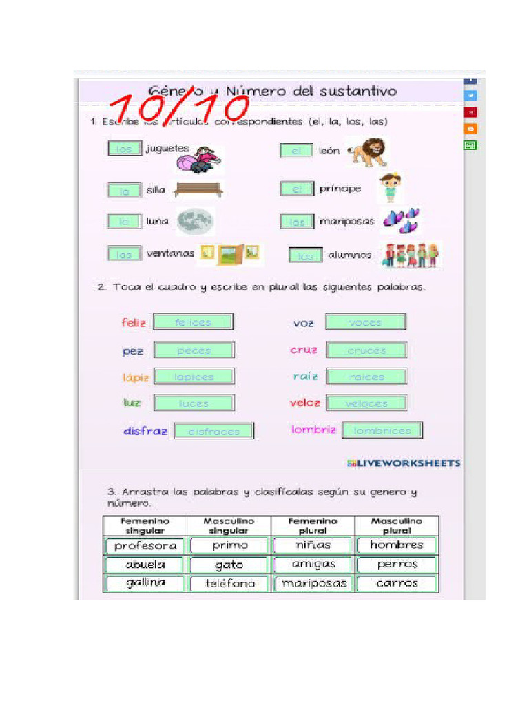 Genero y Número Del Sustantivo | PDF