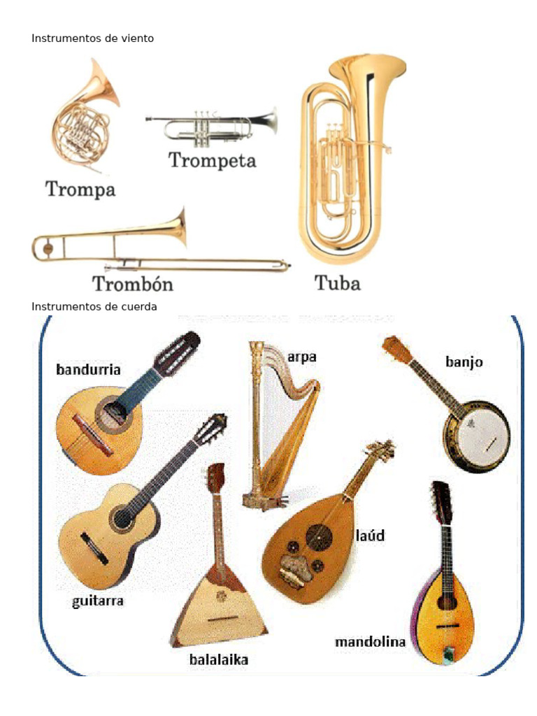 Instrument Os | PDF