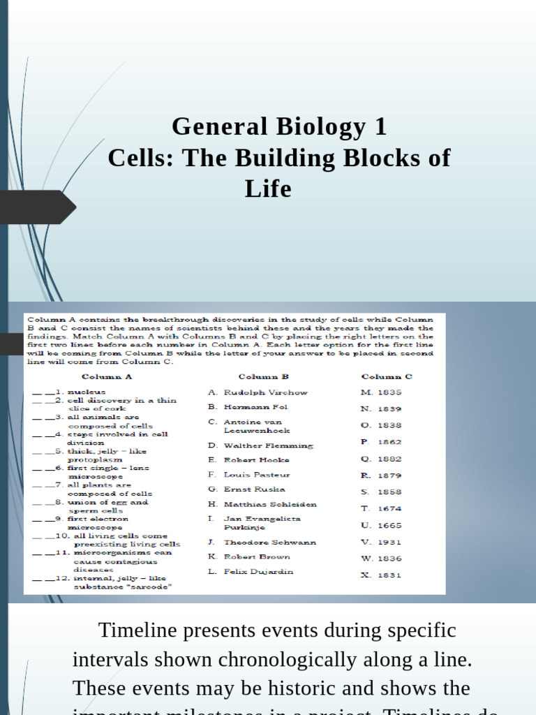 Cells-The Building Blocks of Life | PDF | Cell (Biology) | Eukaryotes