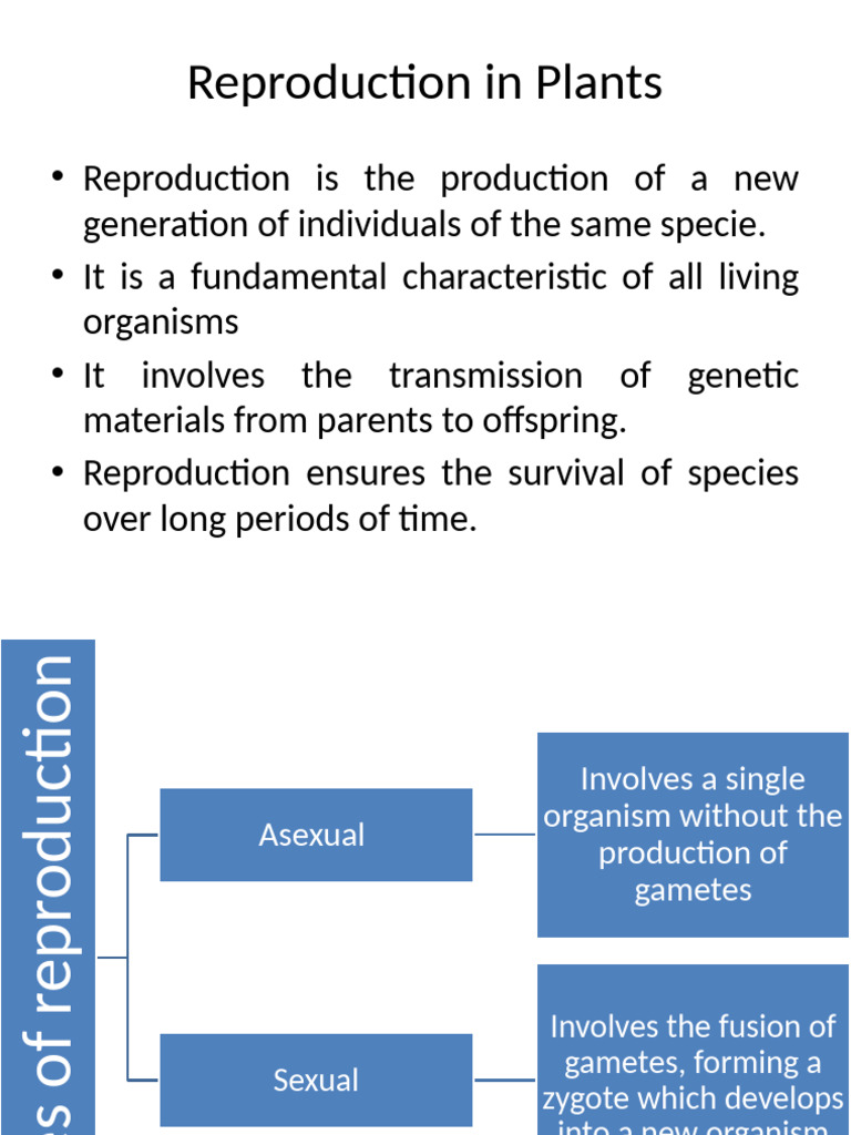 Reproduction in Plants | PDF | Plant Reproduction | Sexual Reproduction