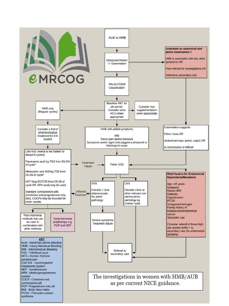 Hmb Investigation Flowchart | PDF