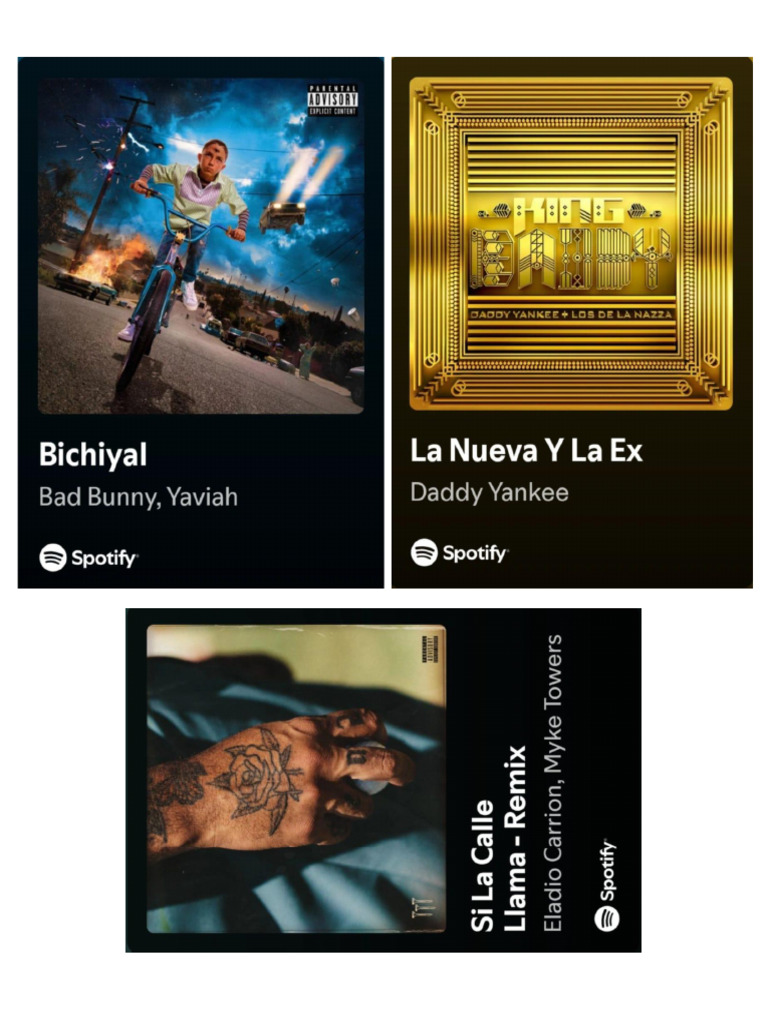 SPOTIFY | PDF