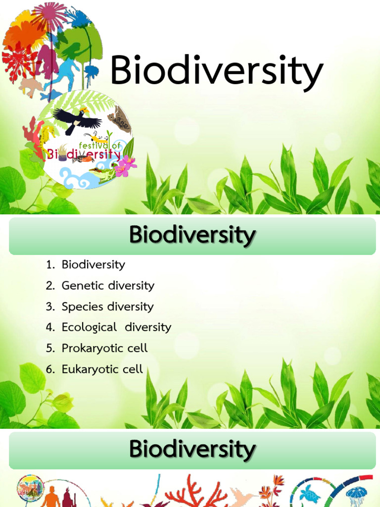 1 Biodiversity Student | PDF
