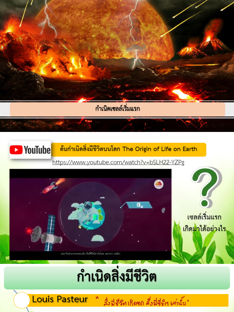 2กำเนิดสิ่งมีชีวิต_student (2) | PDF