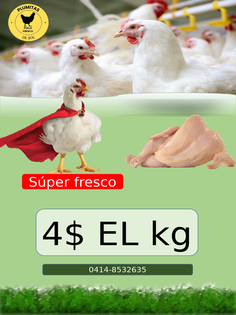 Pollos Pudlicidad | PDF