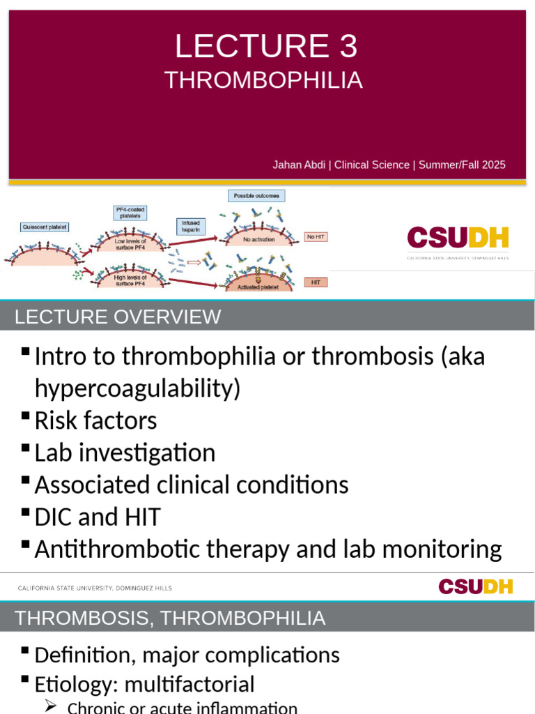 Hypercoagulability Lab Investigations | PDF | Thrombosis | Diseases And ...