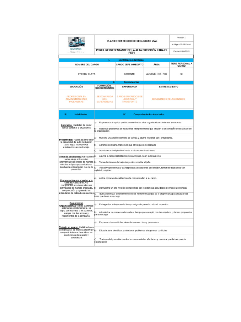 Perfil Pesv | PDF | Planificación estratégica