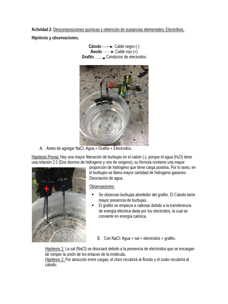 Electrólisis. Actividad 2 - Química | PDF | Redox | Electrodo
